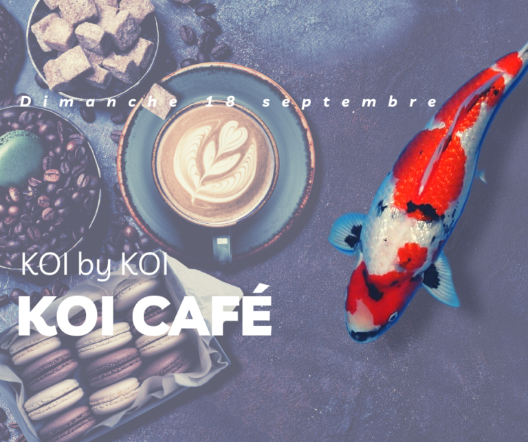 KOI CAFE 2022 – Blog KOI by KOI